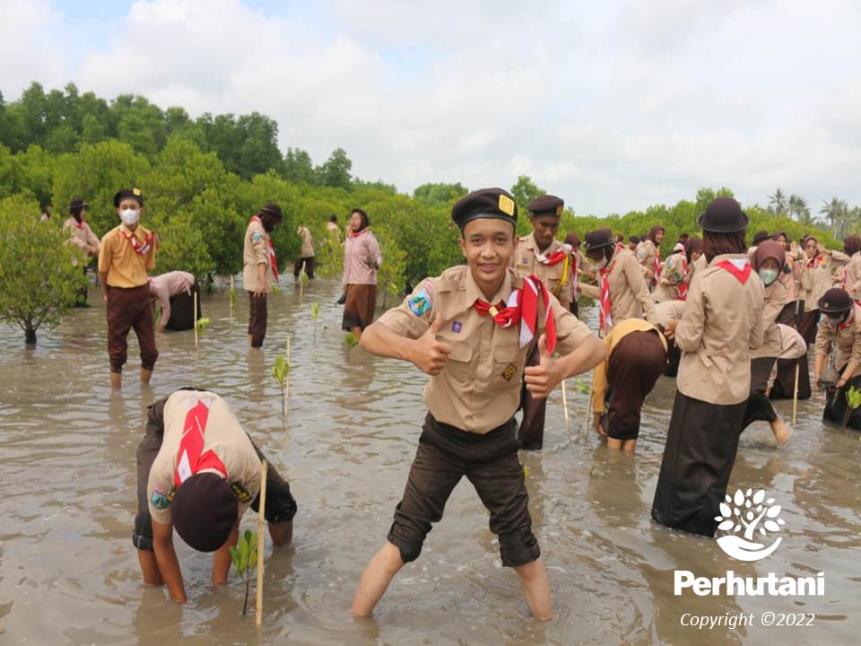 Perhutani Pramuka Saka Wanabakti Binaan Perhutani Banyuwangi Selatan Tanam Ratusan Mangrove