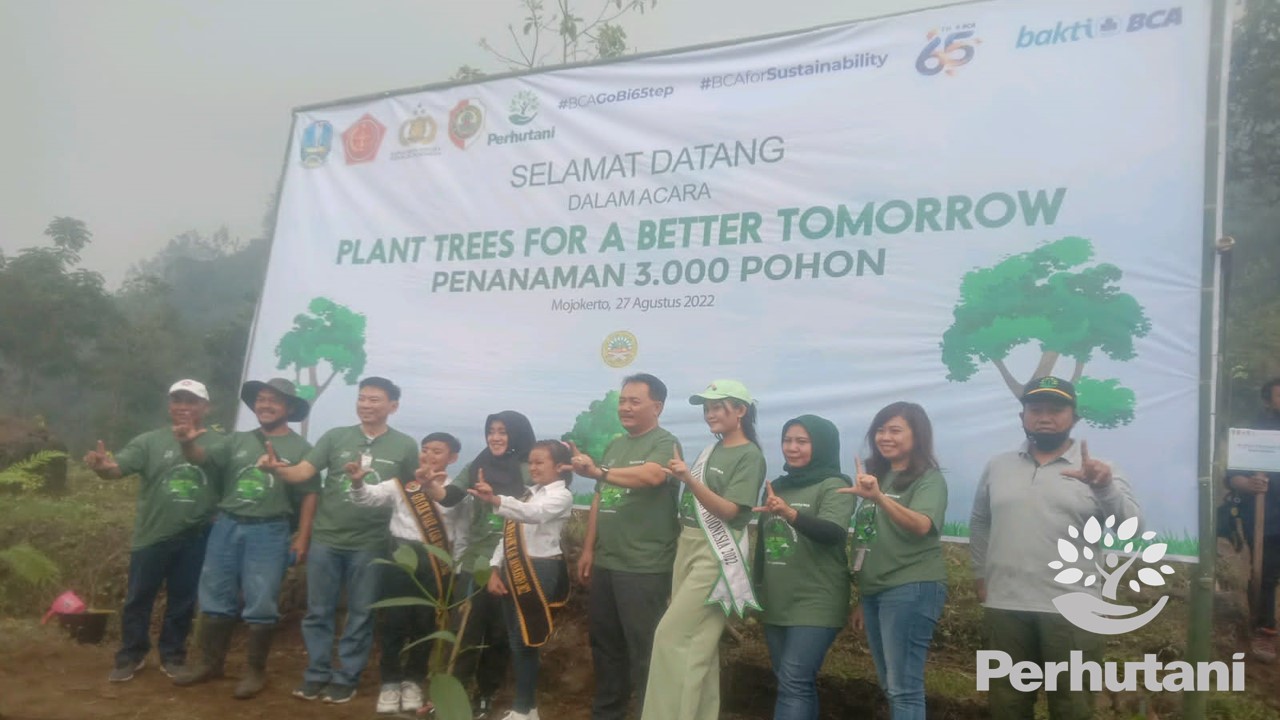 Perhutani Perhutani Pasuruan Bersama Dishut Prov. Jatim Dan Bank BCA Surabaya Tanam 3000 Pohon ...
