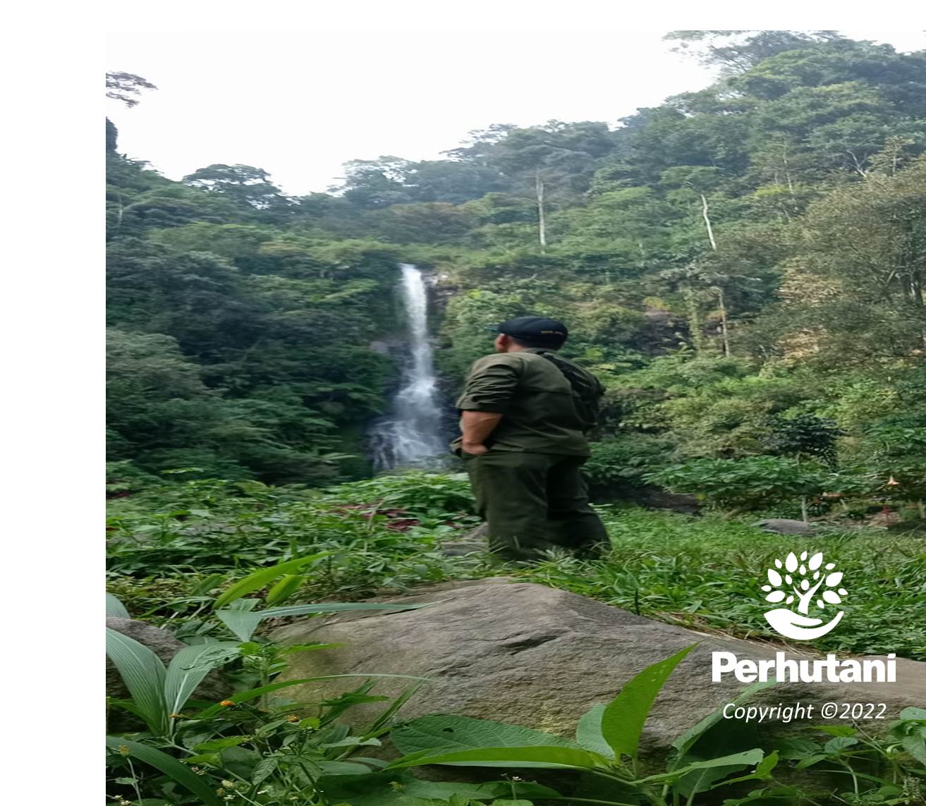Perhutani Pesona Curug Cijalu Masih Jadi Primadona