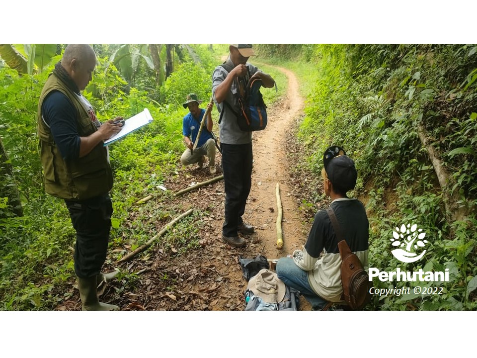 Perhutani Perhutani Cianjur Libatkan LMDH Dalam Groundcheck Pada Lokasi PLTA Upper Cisokan