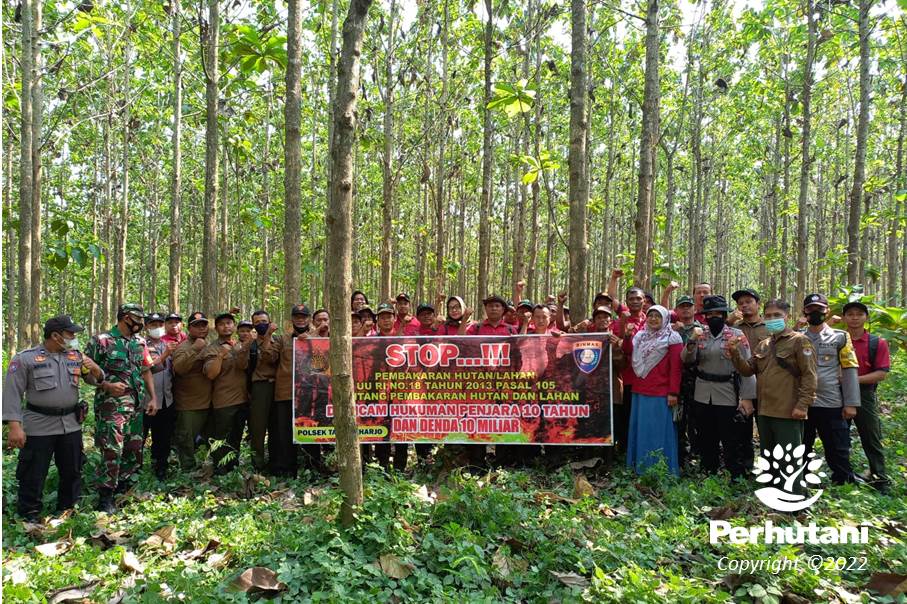 Perhutani Perhutani Gandeng Polri dan TNI Cegah Karhutla di Tlogomanik Perhutani Perhutani Gandeng Polri dan TNI Cegah Karhutla di Tlogomanik