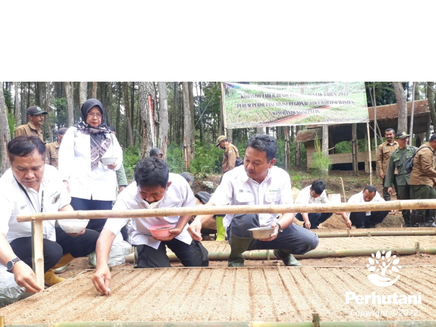 Perhutani Wakadivreg Janten Pimpin Komando Tabur Benih Pinus Di Gunung Halu Bandung Selatan