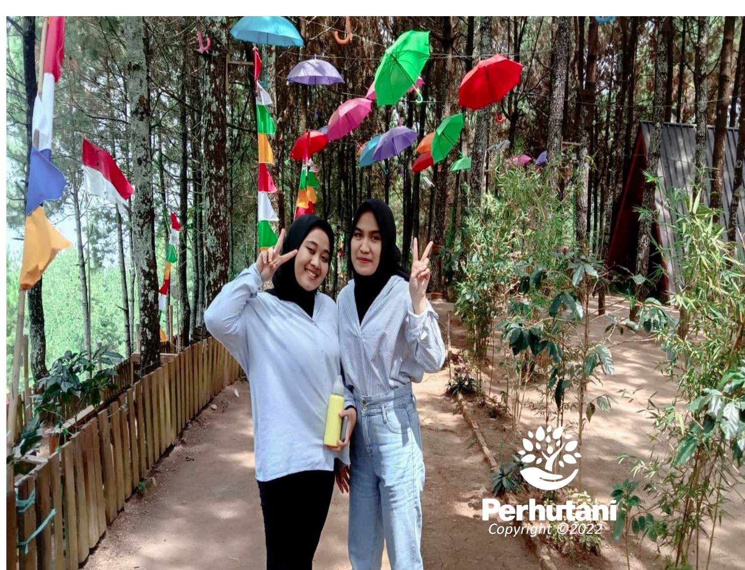 Perhutani Maranganani Camp Perhutani Bandung Utara, Wisata yang Menarik untuk Dikunjungi
