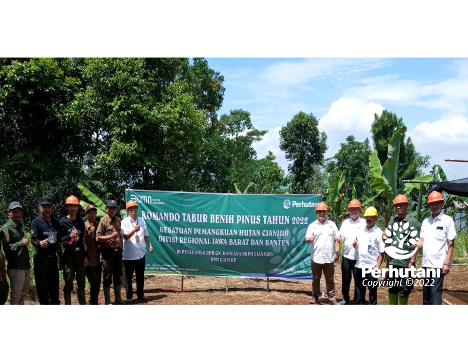 Perhutani Perhutani Cianjur Laksanakan Komando Tabur Benih Pinus
