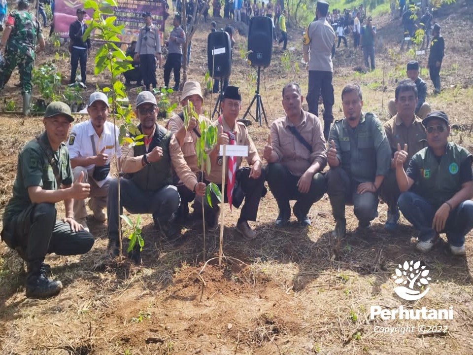 Perhutani Perhutani Bersama Stakeholder Lakukan Penanaman Di Sukabumi