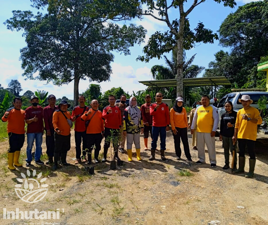 Perhutani Inhutani I Sukseskan Gerakan Revolusi Hijau Di Pulau Laut