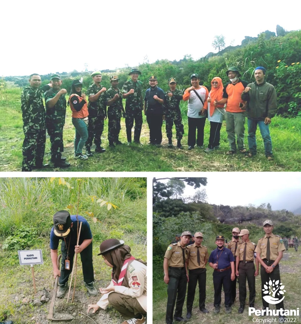 Perhutani Perhutani Garut Bersama Korem 062/Tarumanagara Lakukan ...