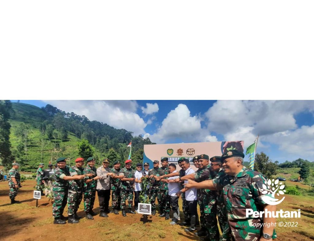 Perhutani Perhutani Bersama Kostrad Dan Stakeholder Penanaman Pohon Bersama di Ciwidey Bandung