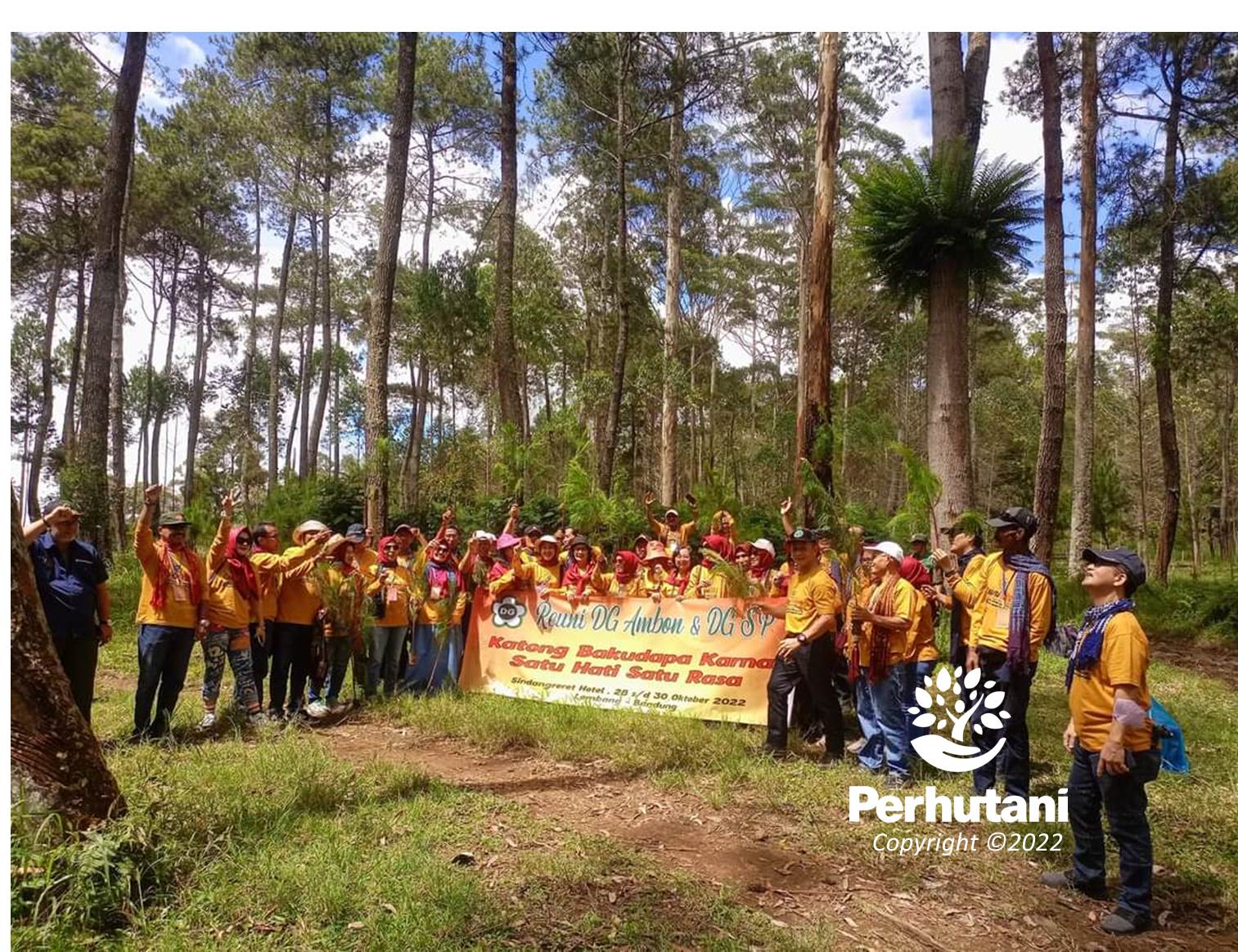 Perhutani Perhutani KPH Bandung Utara Gelar Aksi Penanaman Bersama Dengan DG Ambon dan DG SP di ...