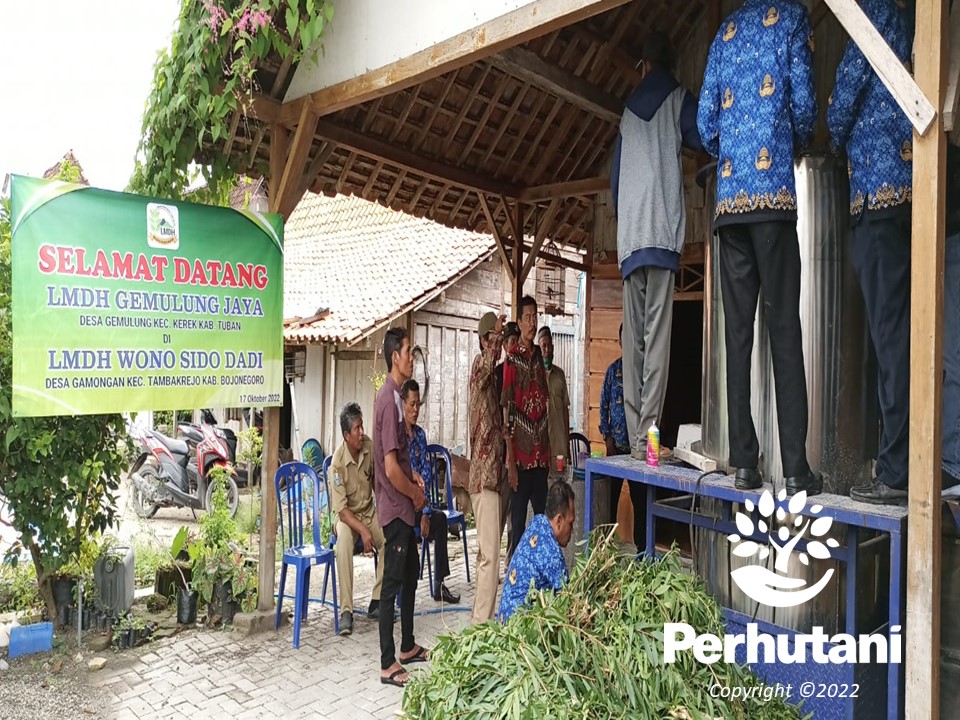 Perhutani Perhutani Jatirogo Fasilitasi Studi Banding Penyulingan MKP Perhutani Perhutani Jatirogo Fasilitasi Studi Banding Penyulingan MKP