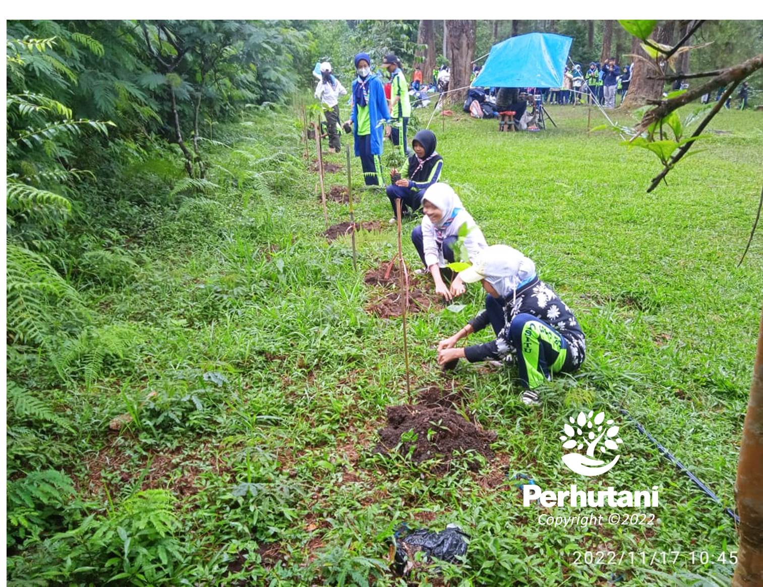 Perhutani Perhutani Bersama SDN 053 Cisitu Lakukan Penanaman Ratusan Pohon Di Obyek Wisata PAL ...