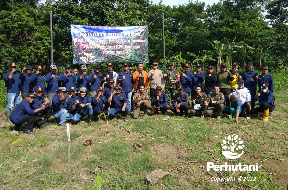 Perhutani Perhutani KPH Parengan Laksanakan Tanaman Bersama Masyarakat dan Sosialisasi Hutan ...