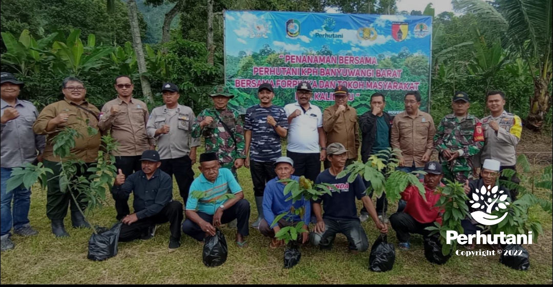 Perhutani Perhutani Bersama Masyarakat Lakukan Penanaman Bersama di Kec. Kalibaru, Banyuwangi