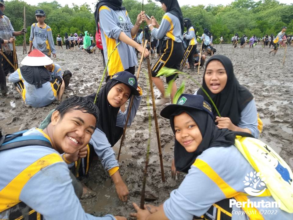 Perhutani Perhutani Banyuwangi Selatan Tanam Ribuan Mangrove Bersama Stakeholders Terkait ...