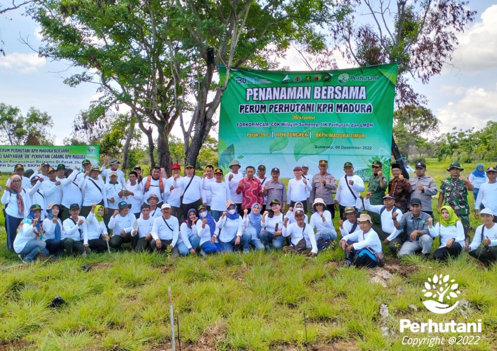 Perhutani Perhutani Gandeng IIK Lakukan Penanaman Bersama di Sumenep Perhutani Perhutani Gandeng IIK Lakukan Penanaman Bersama di Sumenep