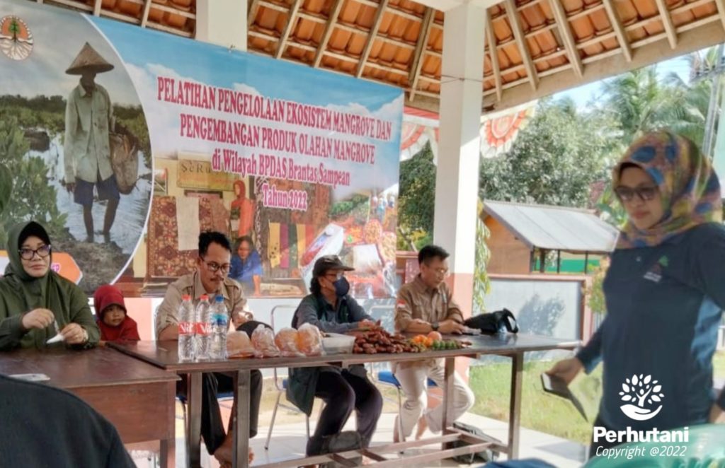 Perhutani Perhutani Mengikuti Pelatihan Pengelolaan Ekosistem Mangrove ...