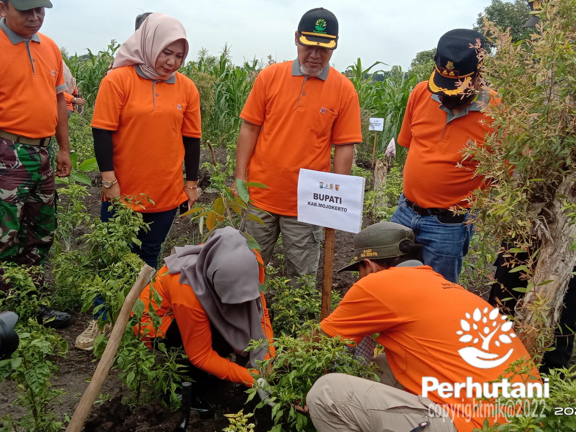 Perhutani Pehutani Bersama Bupati Mojokerto Lakukan Penanaman Bersama di Penghujung Tahun 2022