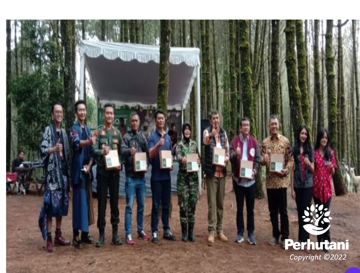 Perhutani Perhutani Bandung Utara Lahirkan Destinasi Wisata Baru Tangkal Pinus Cikole