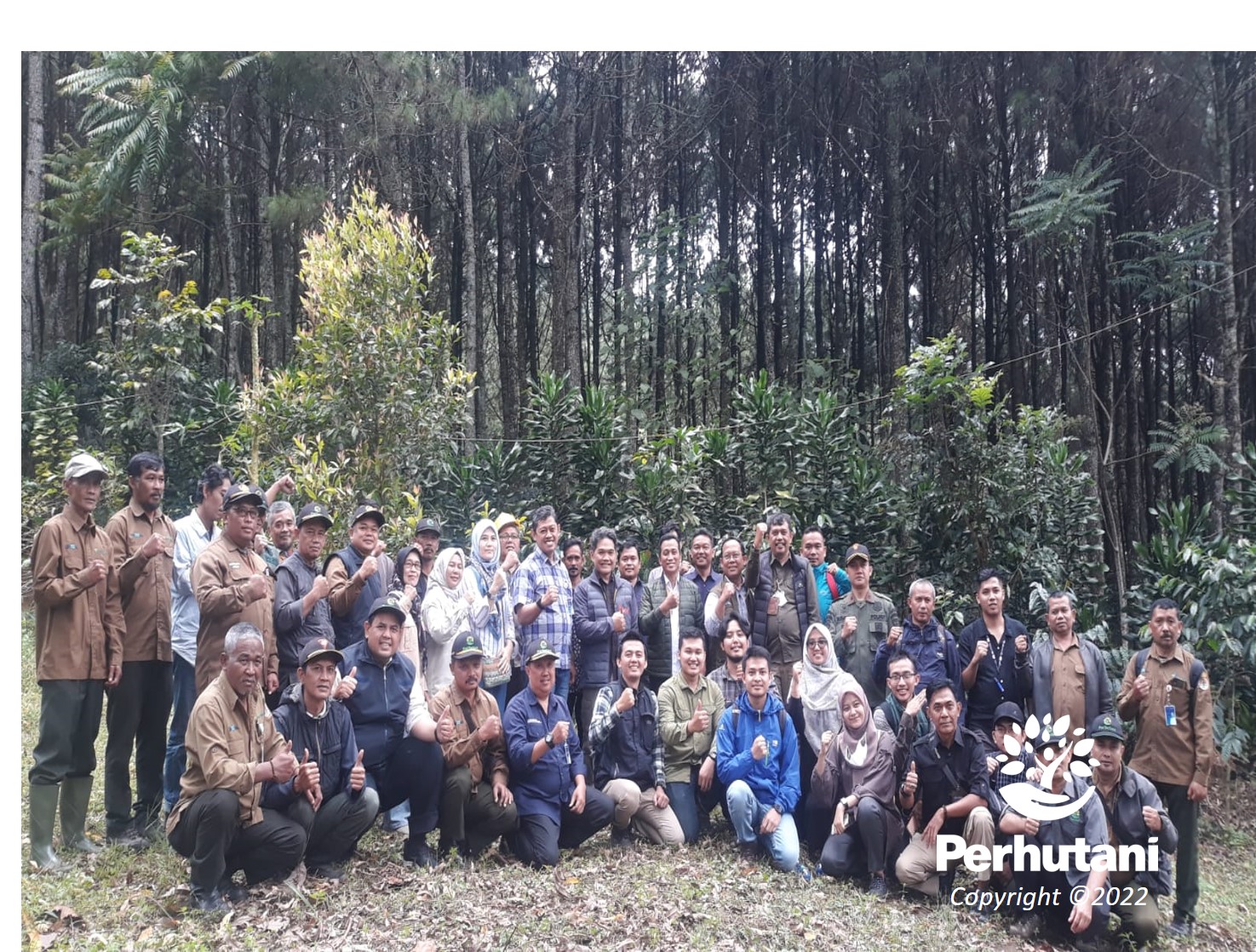 Perhutani Tingkatkan Produksi Getah Pinus, Perhutani Bandung Utara Ikuti Sosialisasi Alat Sadap ...