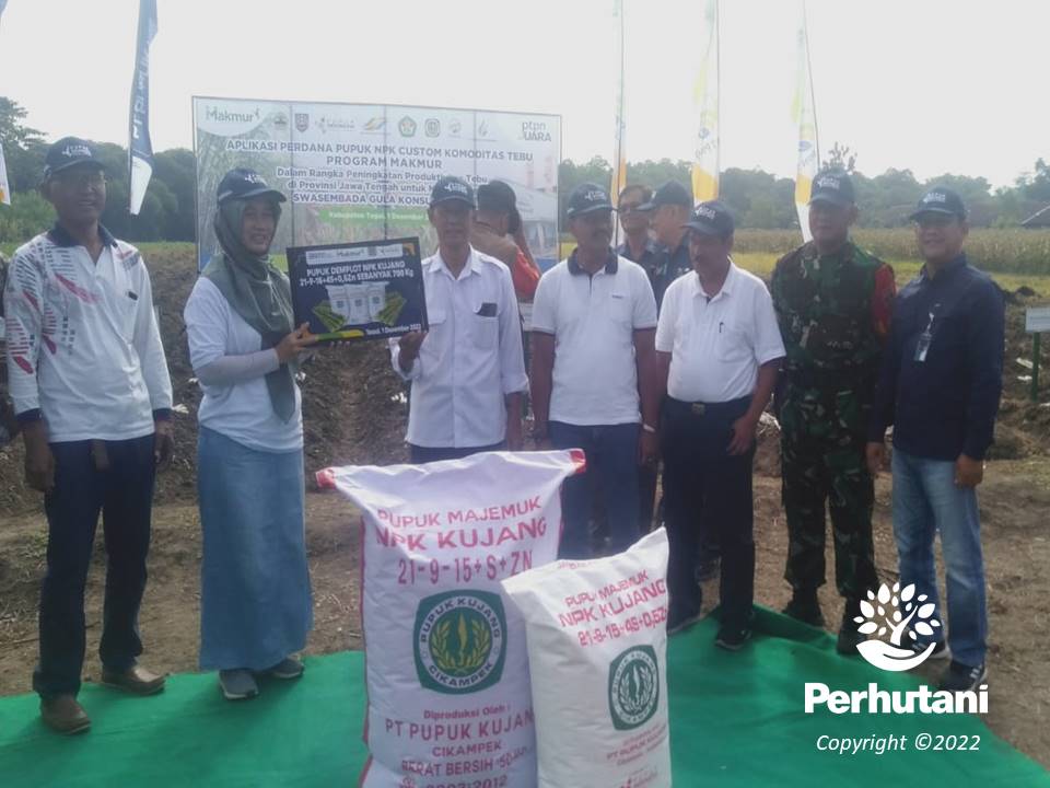 Perhutani Perhutani Dukung PTPN IX Aplikasi Perdana Pupuk NPK Pada ...