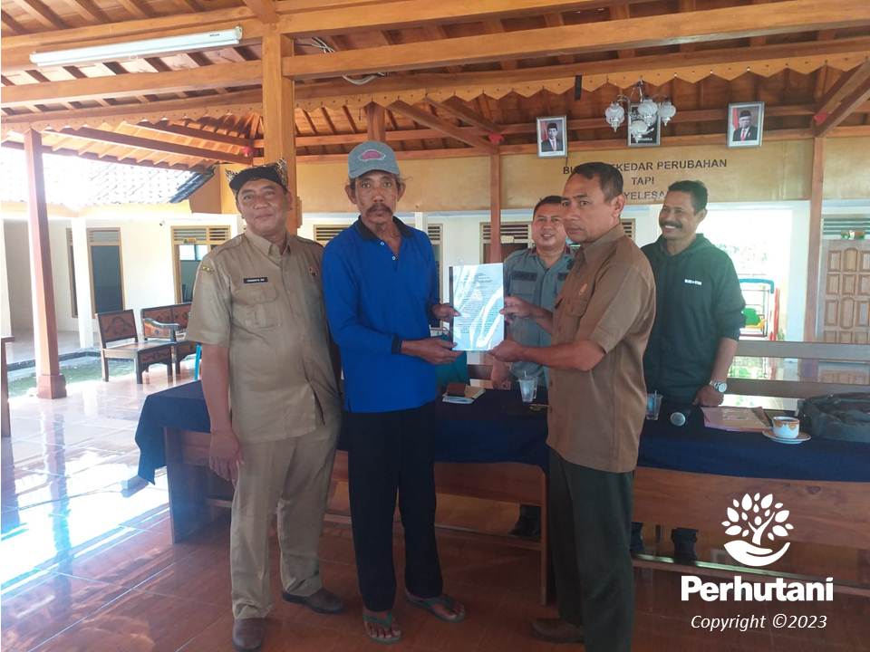 Perhutani Sejahterakan Masyarakat Hutan, Perhutani Teken Budidaya Tanaman Balsa dengan KTH Sejati