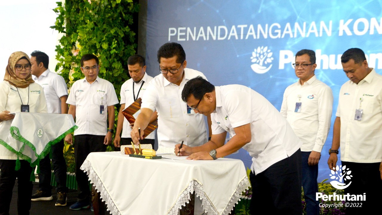 Perhutani Perkuat Bisnis Biomassa dan NBS, Perhutani Gelar Kick Off ...