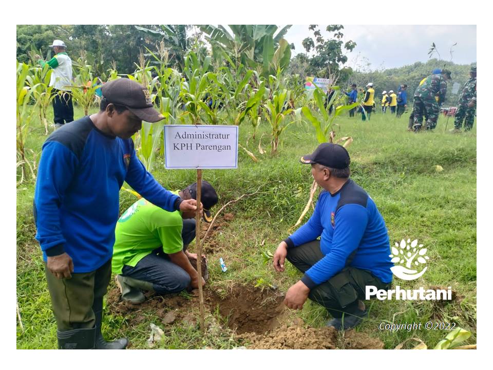 Perhutani Perhutani Bersama Stakeholders Terkait Lakukan Penanaman