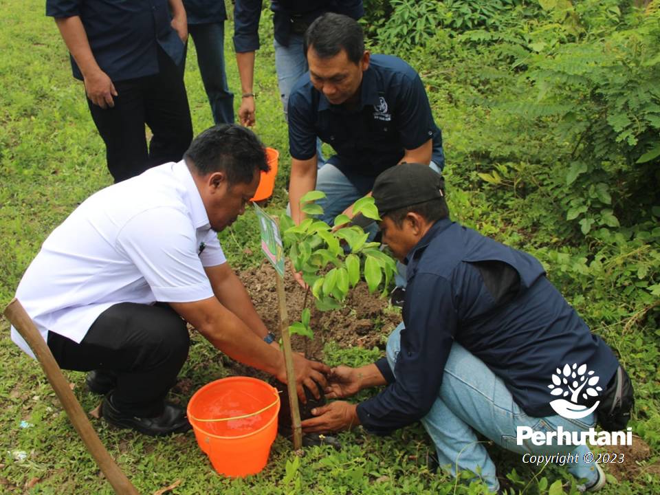 Perhutani Harlah ke-18, Sekar Perhutani DPD Ngawi Berikan Santunan ... Perhutani Harlah ke-18, Sekar Perhutani DPD Ngawi Berikan Santunan ...