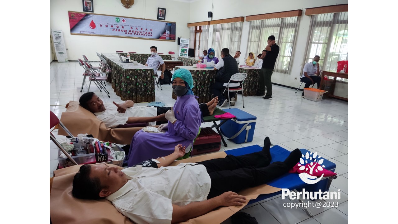 Perhutani Memperingati Bulan K3 Nasional Perhutani Pasuruan Gelar Aksi Donor Darah