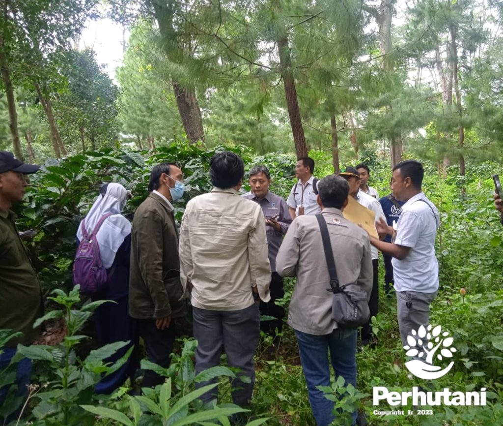 Perhutani Dishut Prov Jatim Studi Banding Produksi Tanaman Kopi di Perhutani Bondowoso - Perhutani