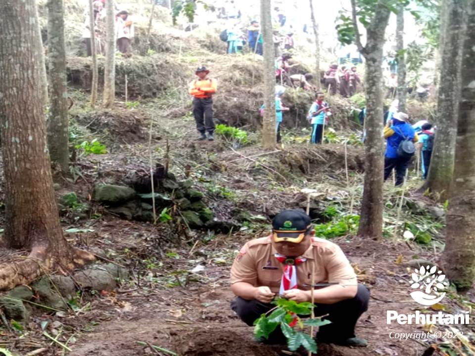 Perhutani Sinergitas Perhutani Dengan Kwarda Gerakan Pramuka Jateng Peringati Hari Baden Powell ...