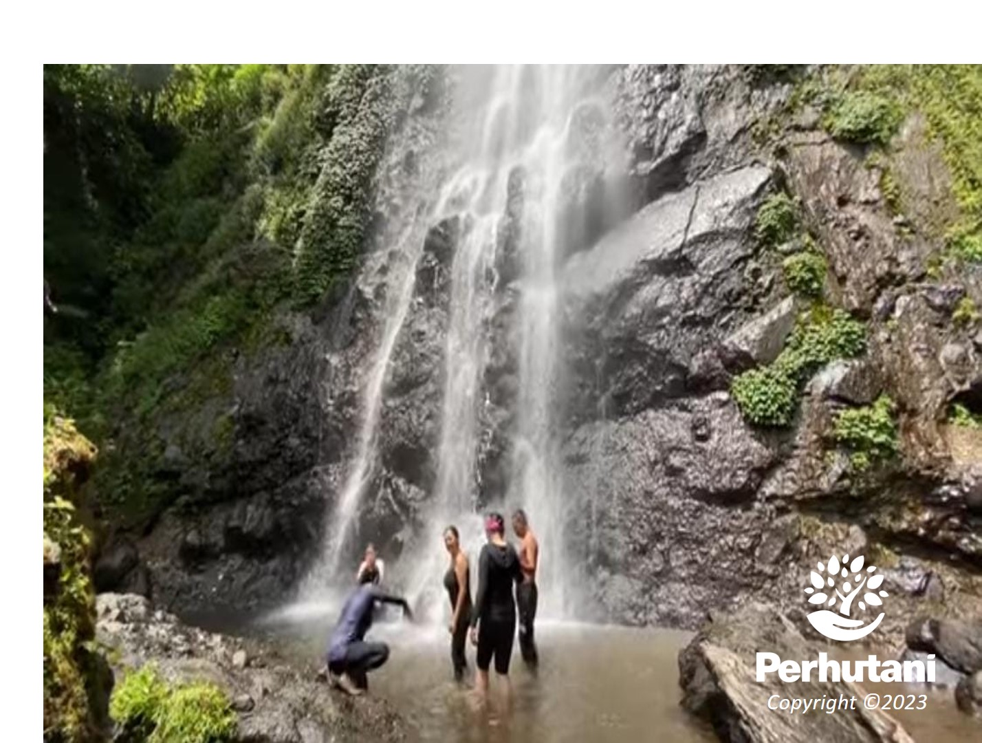 Perhutani Curug Cibareubeuy Menjadi Salah Satu Tempat Wisata Yang di ...