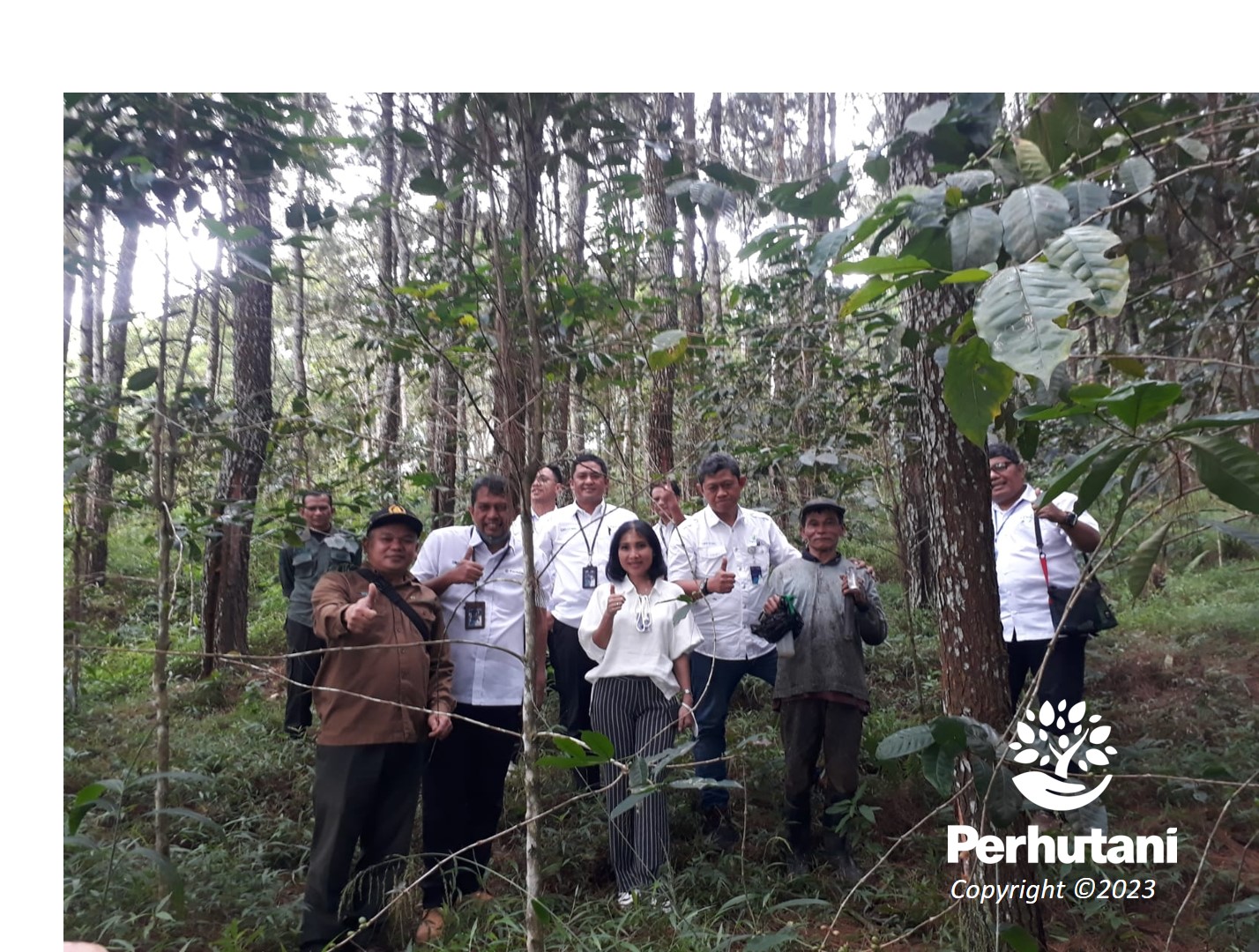 Perhutani Direktur Keuangan Melakukan Kunjungan Kerja Ke Wilayah Perhutani Bandung Utara