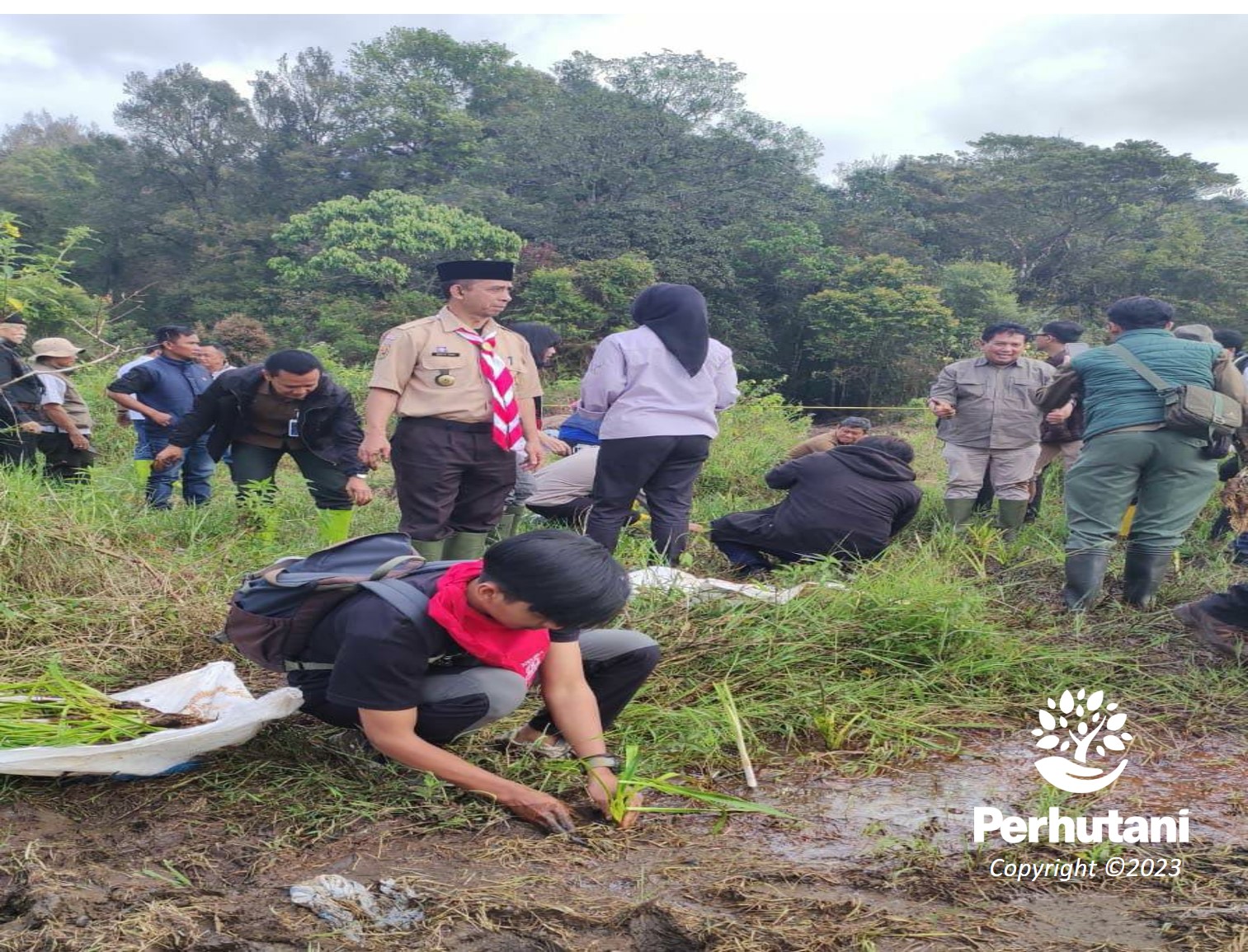 Perhutani Perhutani KPH Bandung Utara Bersama MPKA Rimbawan dan Saka Wanabakti Ikut Sukseskan ...