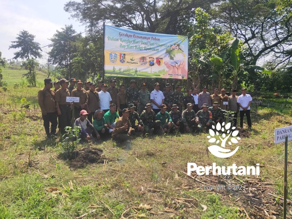 Perhutani Perhutani Melakukan Penanaman bersama Forkopimcam Parengan di Parengan