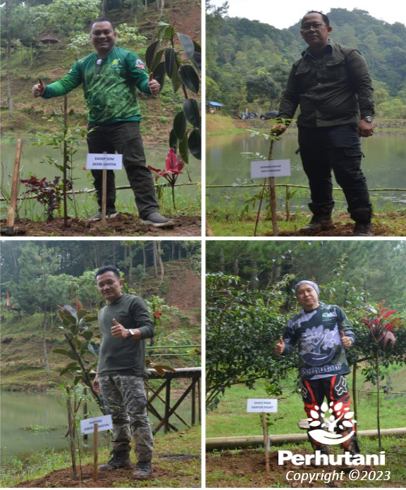 Perhutani Lestarikan Pohon Endemik, Perhutani Adakan Penanaman Bersama ... Perhutani Lestarikan Pohon Endemik, Perhutani Adakan Penanaman Bersama ...