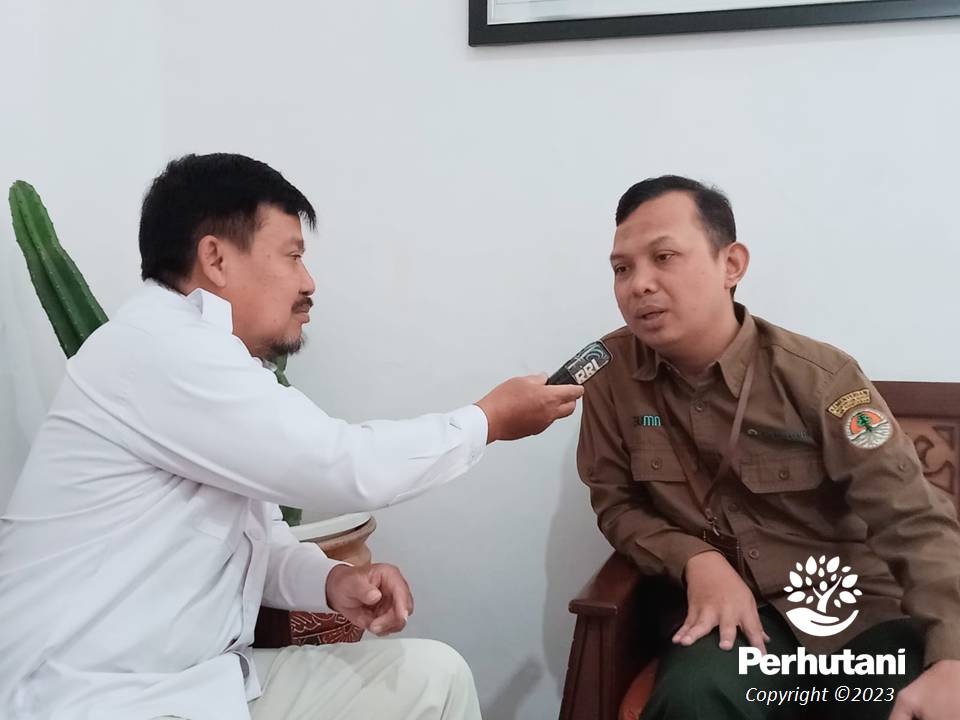 Perhutani Perhutani Lawu Ds, Kerjasama dengan RRI Madiun Siarankan Antisipasi Kebakaran Hutan