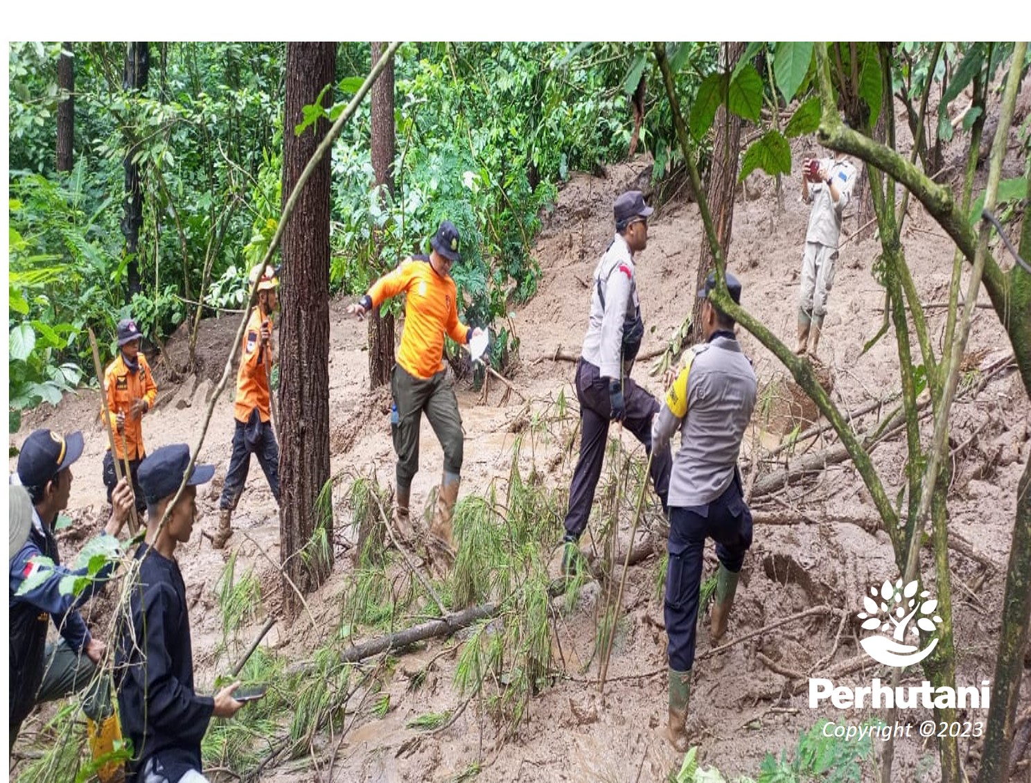 Perhutani Perhutani KPH Bandung Utara Bersama BPBD Ikut Bantu Tangani Tanah Longsor Di Kawasan ...
