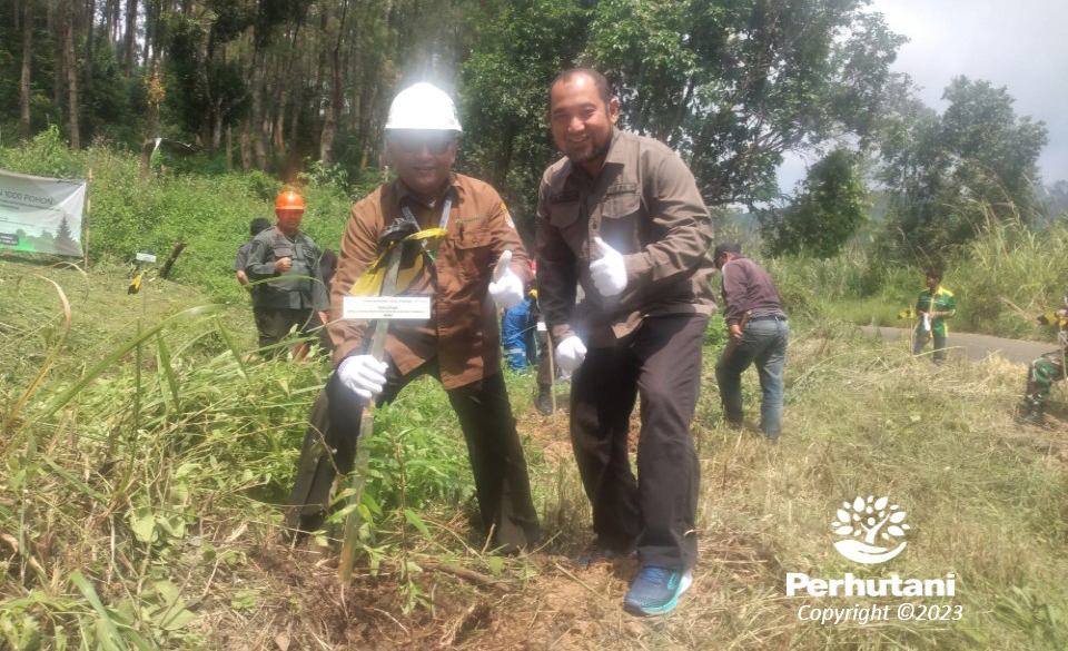 Perhutani Perhutani Tasikmalaya Dan PT. Pertamina Geothermal Energi (PGE) Melaksanakan Penanaman ...