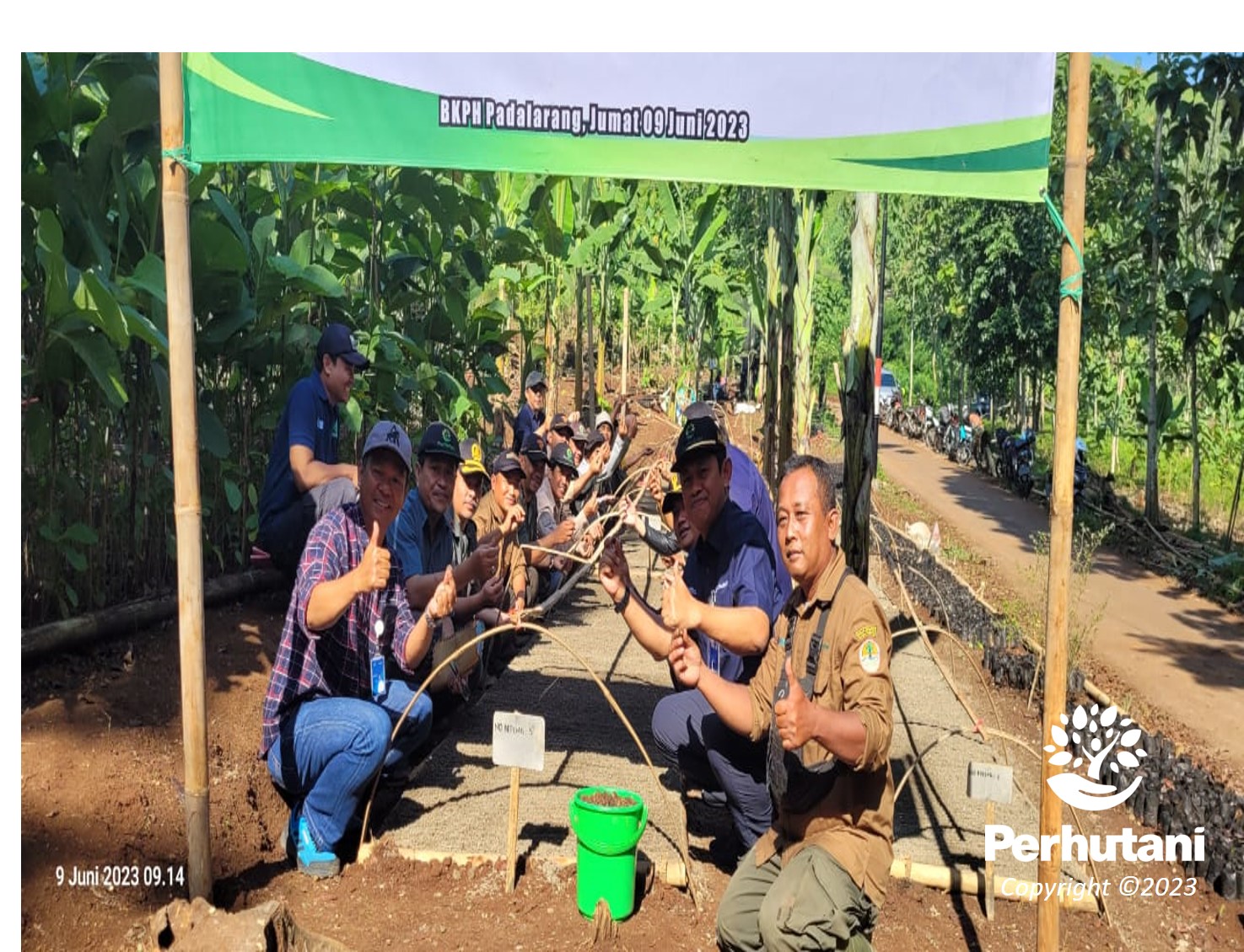 Perhutani Perhutani KPH Bandung Utara Bersama LMDH Laksanakan Komando Tabur Benih Jati di Bandung