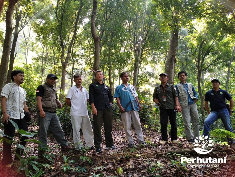 Perhutani Perhutani Bogor Lakukan Monev Agrowisata Gunung Cibodas Cibadak