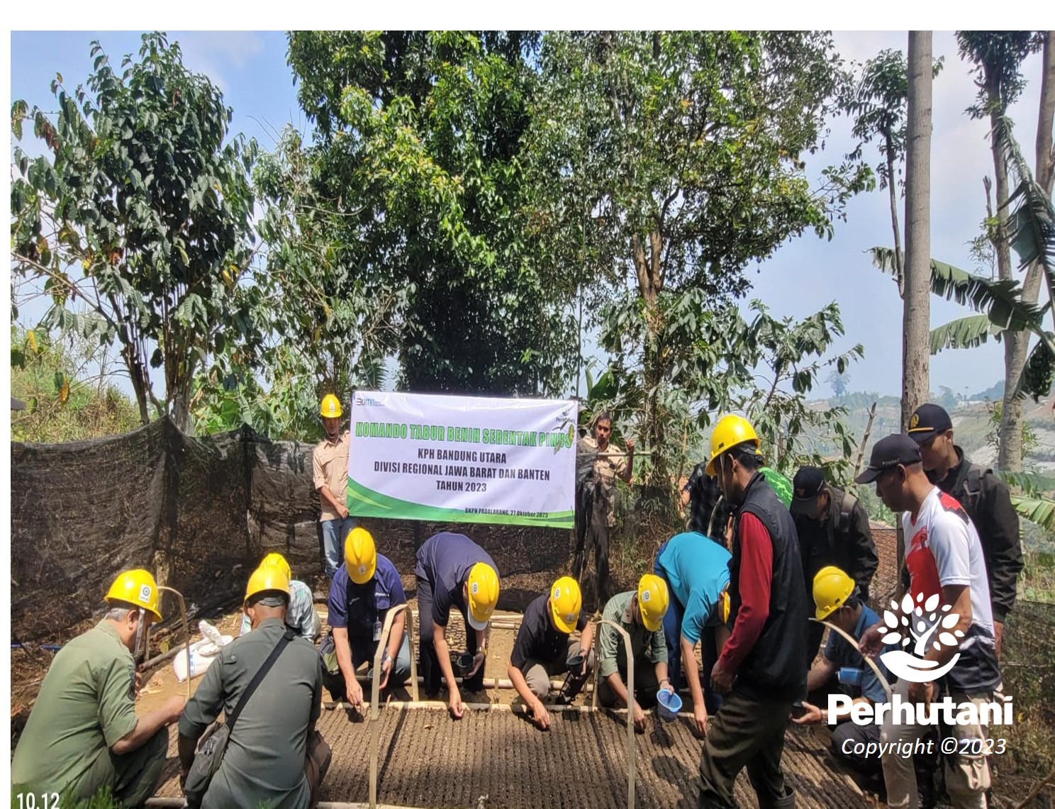Perhutani Perhutani Bandung Utara Laksanakan Tabur Benih Pinus Di Burangrang Selatan