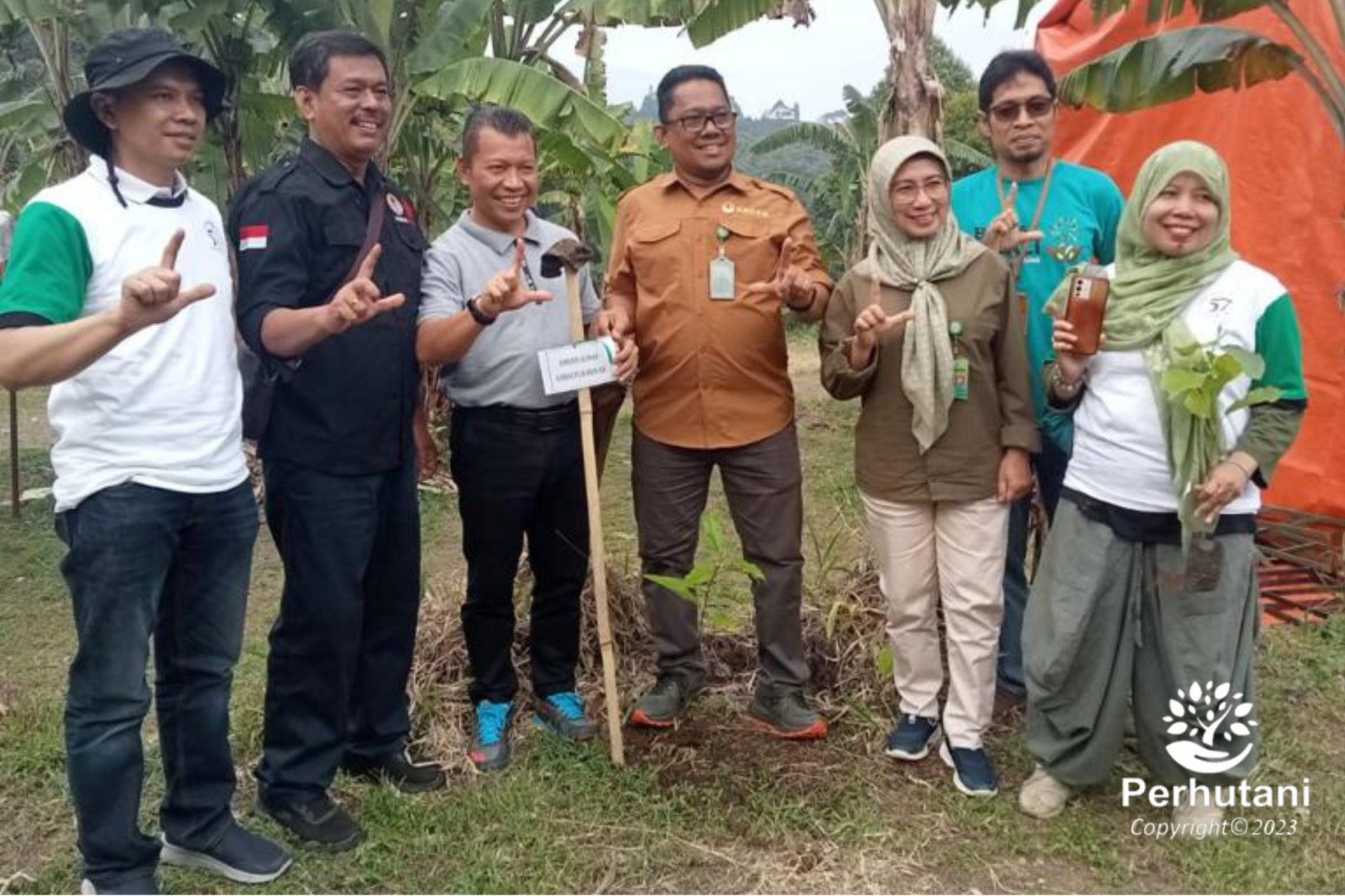 Perhutani Perhutani Dukung KAHMI, Lakukan Penanaman Sejuta Pohon di Bogor Perhutani Perhutani Dukung KAHMI, Lakukan Penanaman Sejuta Pohon di Bogor
