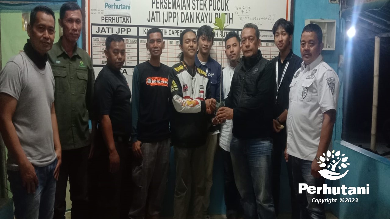 Perhutani Perhutani Berikan Bibit Tanaman 150 Plances Kepada Mahasiswa ...