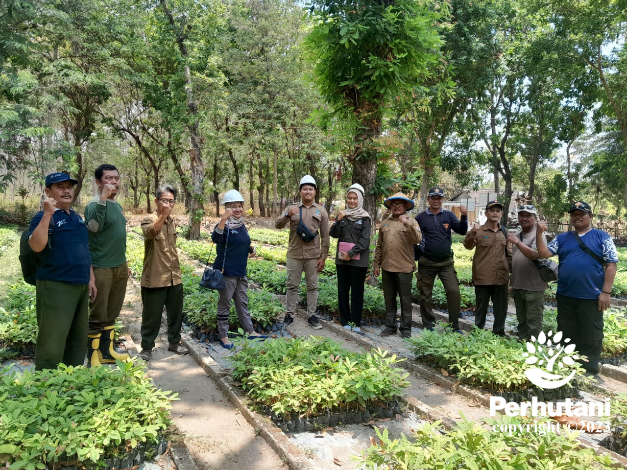 Perhutani Perhutani Parengan bersama CDK Bojonegoro Lakukan Monev RTT