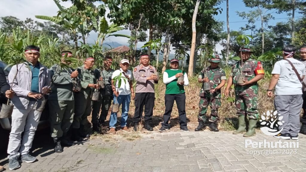 Perhutani Peringati Hari pohon Sedunia Perhutani Pasuruan Bersama ... Perhutani Peringati Hari pohon Sedunia Perhutani Pasuruan Bersama ...