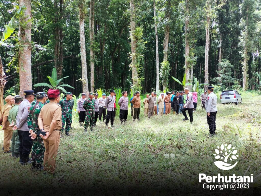 Perhutani Perhutani Banyuwangi Barat Gandeng Lintas Instansi dan Masyarakat Tanam 10 Juta Pohon