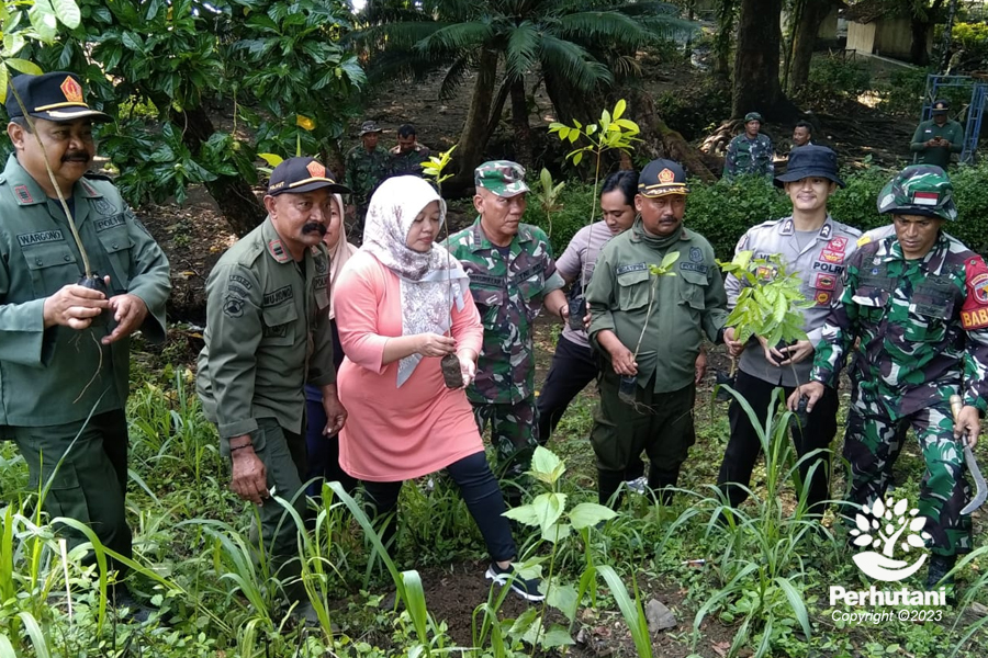 Perhutani Momentum HMPI, Perhutani Mojokerto Menanam bersama Jajaran Forpimcam dan Masyarakat ...