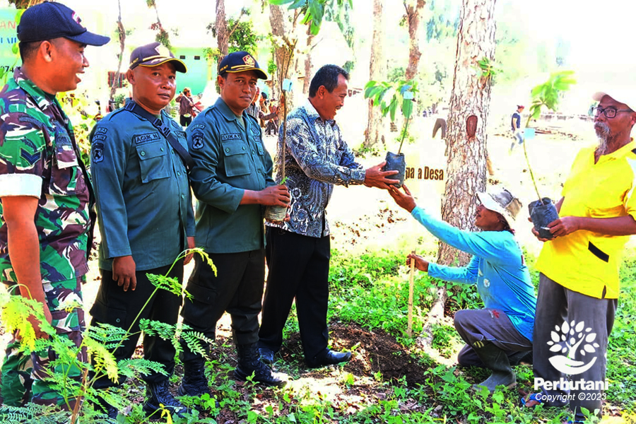Perhutani Perhutani Mojokerto Bareng Dinas Pendidikan dan Forkopimcam Ngimbang Melakukan ...