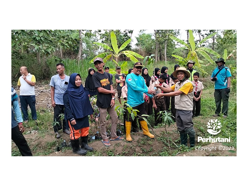 Perhutani Perhutani Tuban Bersinergi bersama MDH dan Generasi Muda Lestarikan Hutan Lindung